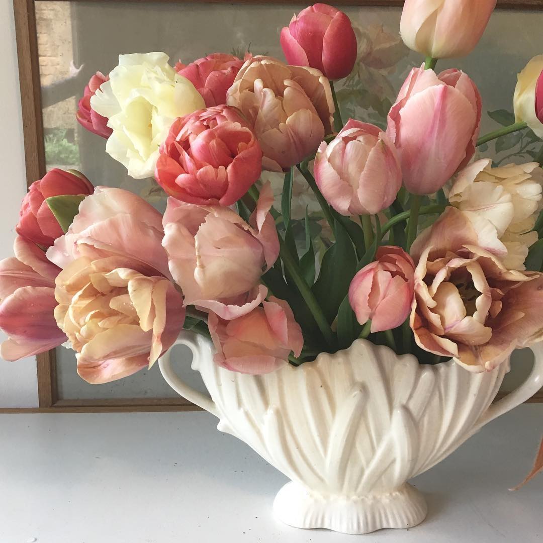 tulips-roses-pink-flowers-the-land-gardeners - The Glam Pad