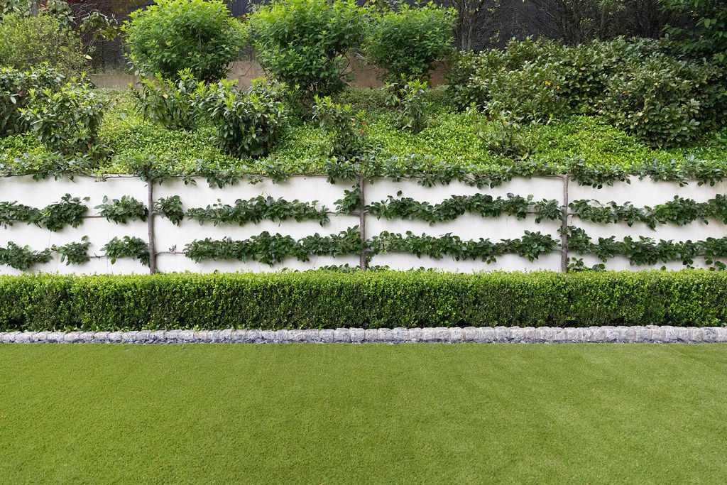 Splendor in a 1920s Atlanta Home Garden - The Glam Pad