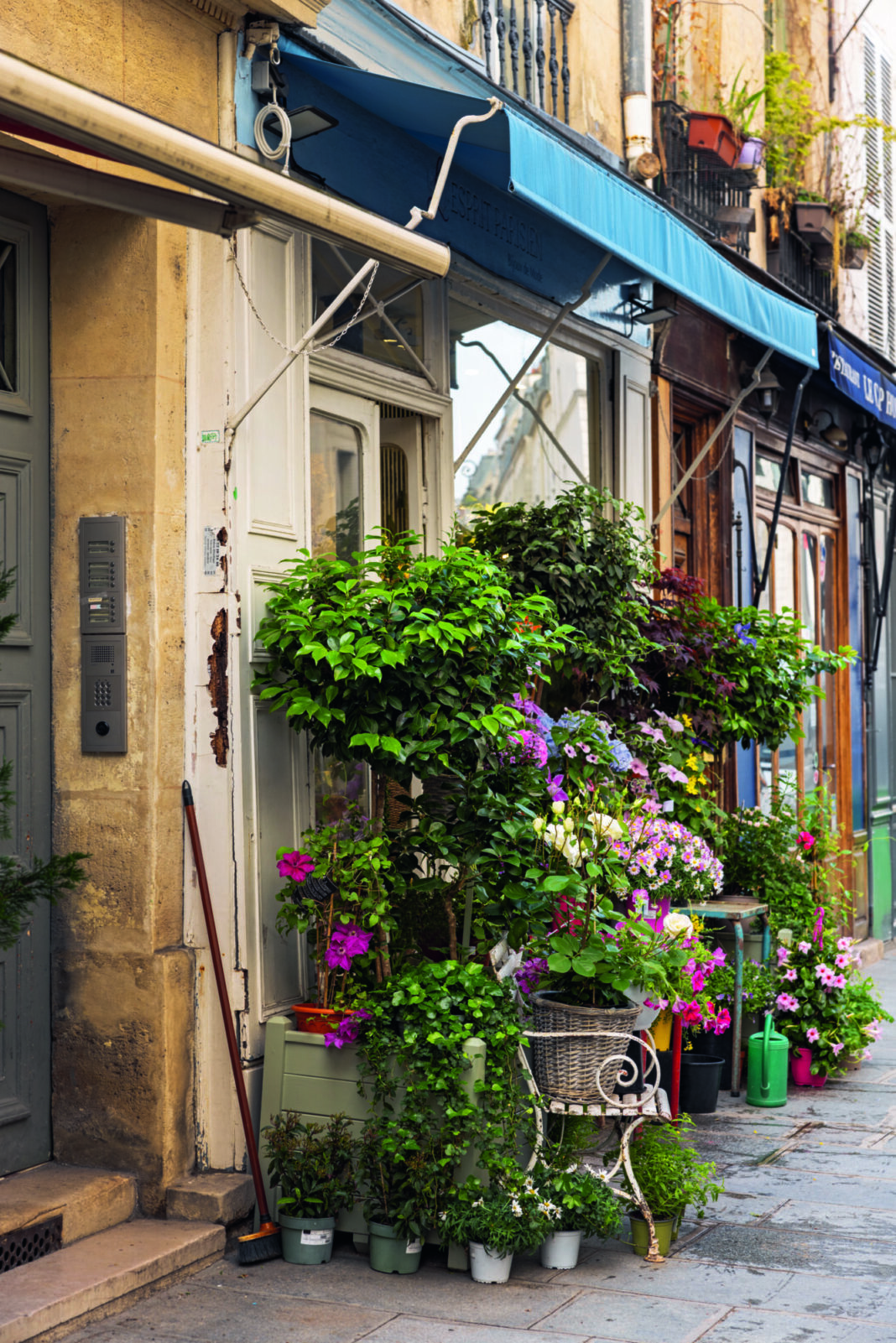 Skye McAlpine Archive Sale, Living Beautifully in Paris, and Erdem's ...