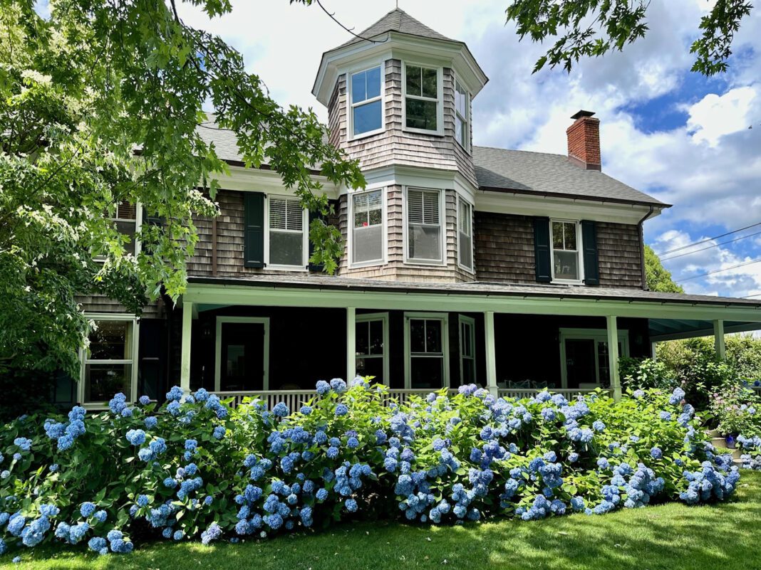 Hydrangeas in the Hamptons - The Glam Pad