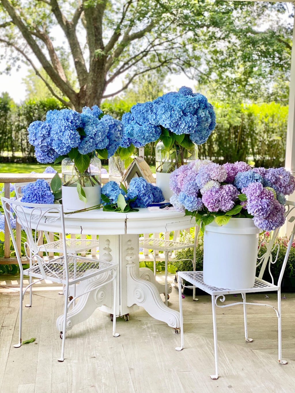 Hydrangeas in the Hamptons - The Glam Pad