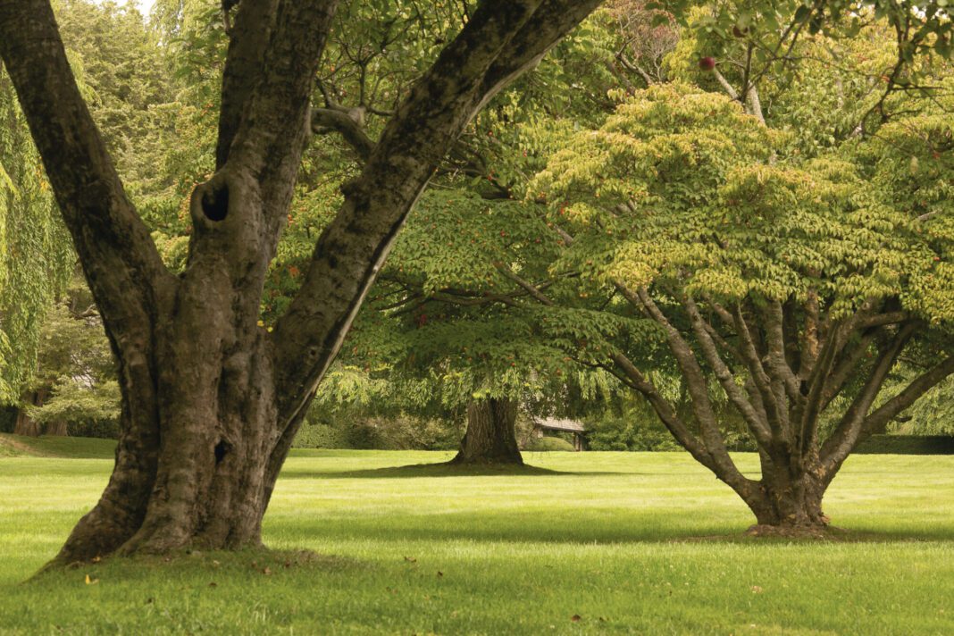 A Moment in Time: Designing a Country Garden, The Fund for Park Avenue ...