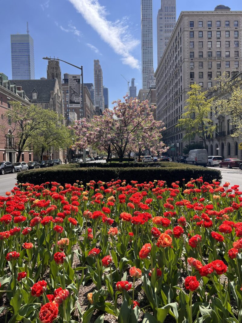 A Moment in Time: Designing a Country Garden, The Fund for Park Avenue ...